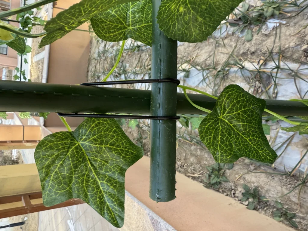 Plastic-coated steel pipe climbing trellis - GZC Metal
